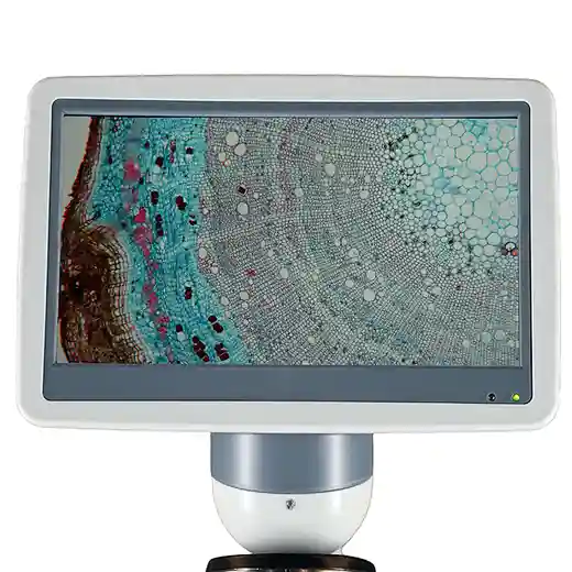 BLM-210 LCD Digital Biological Microscope-LCD Digital Biological ...